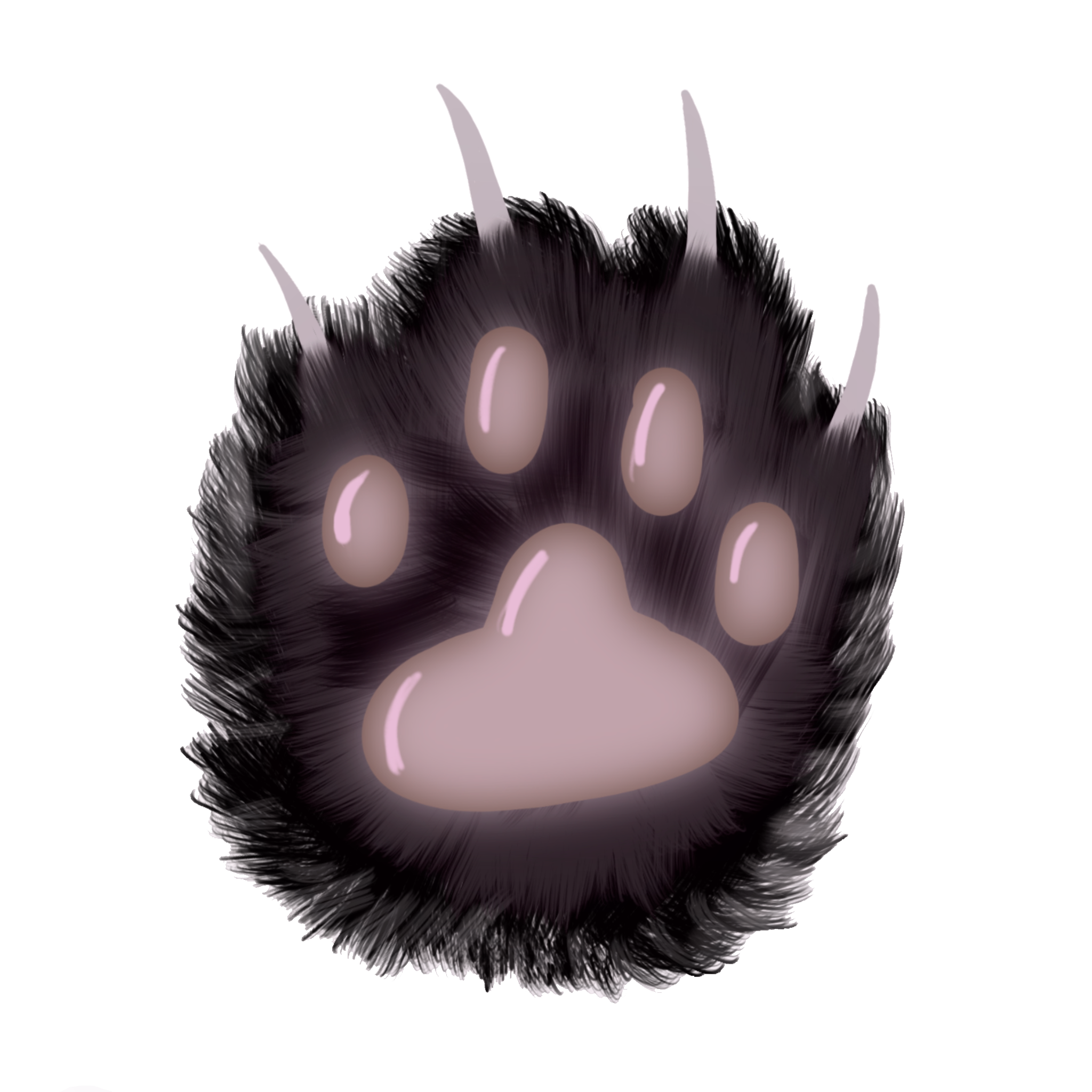 FearPawsStudio - About Us